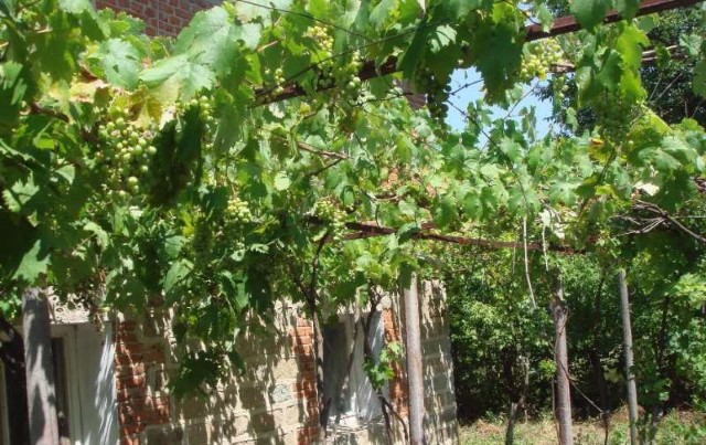 For sale a solid two-storey house in the centre of a village 30 km from ...