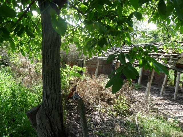 For sale a solid two-storey house in a village 30 km from the sea ...