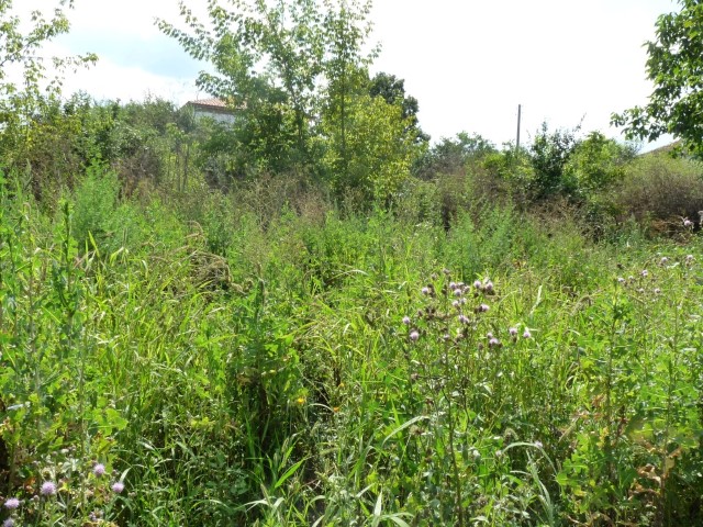 For sale a solid two-storey house in a village 30 km from the sea ...