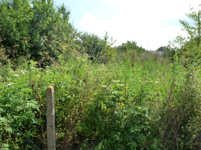 For sale a solid two-storey house in a village 30 km from the sea ...